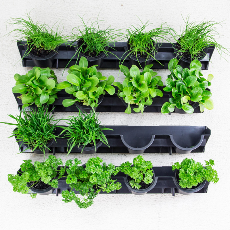 My Design Vertical Gardening Start kit - Watex Green Living